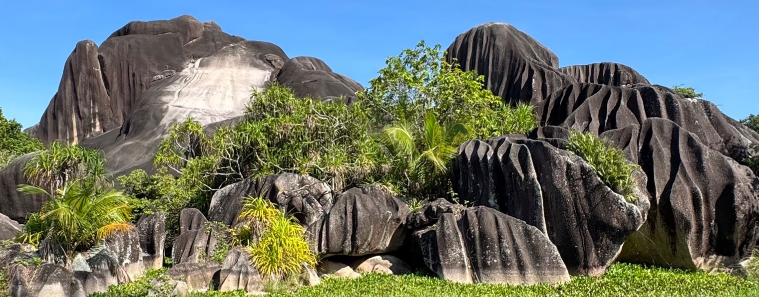 Сам Себе Путеводитель