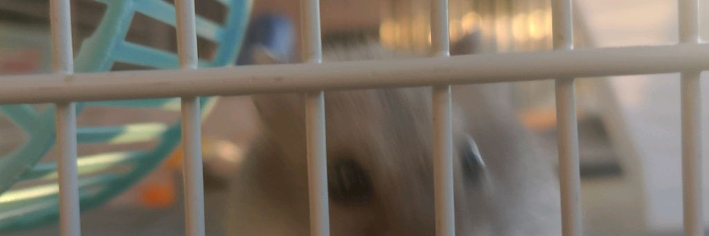 Нефедов Евгений