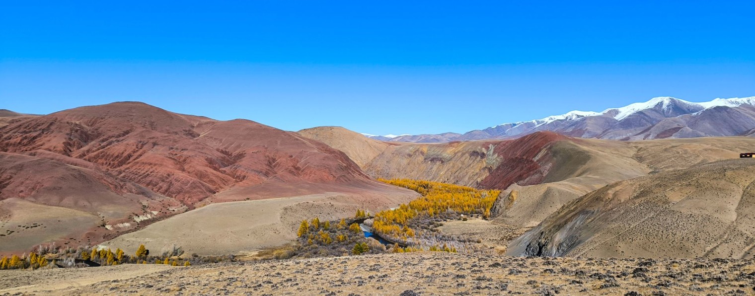 PionerAltaya|ПионерАлтая