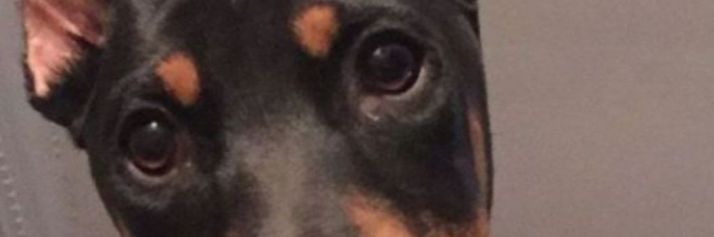 ✨🌞  Просто Соня 🌞✨