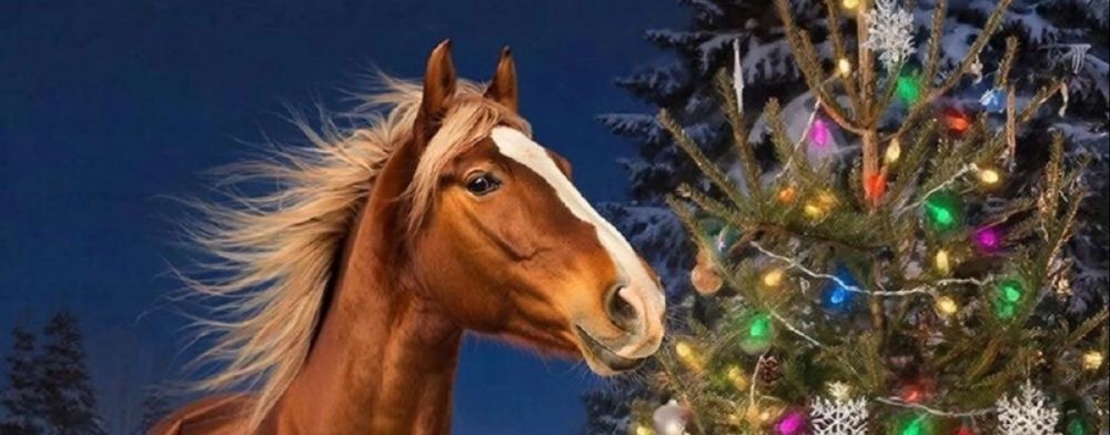 Гостевой дом для пожилых людей "Тульский"