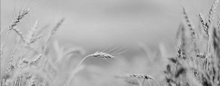 PRO ЖЕНЩИНА | Канал про женские опоры