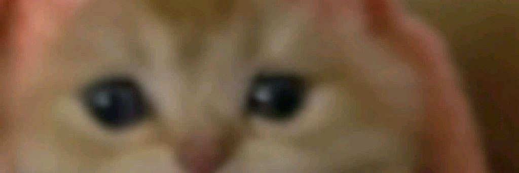 хзешник(с 2026!)