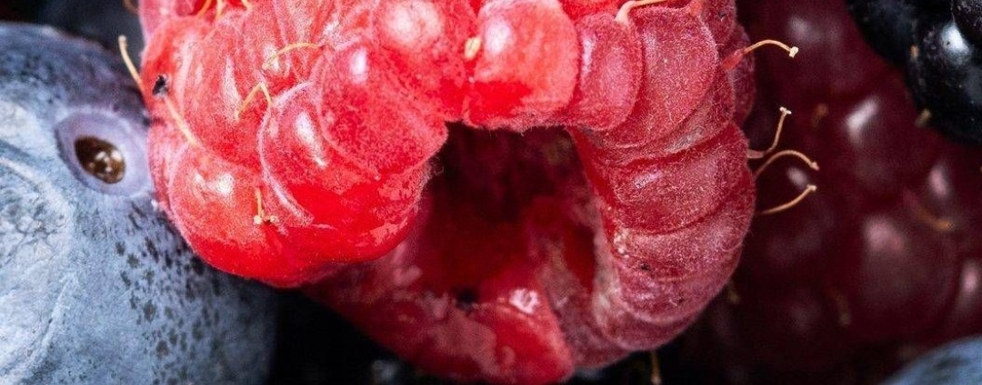 Малика99 На Чей Лису