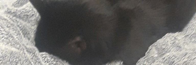 Есбэхпж.ижхдт О♡. ПСЛМ