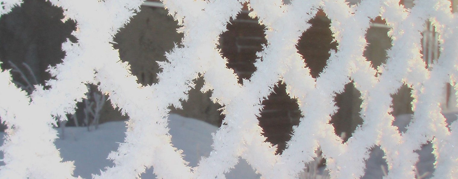 Мы все СОЗДАНИЯ ПРИРОДЫ