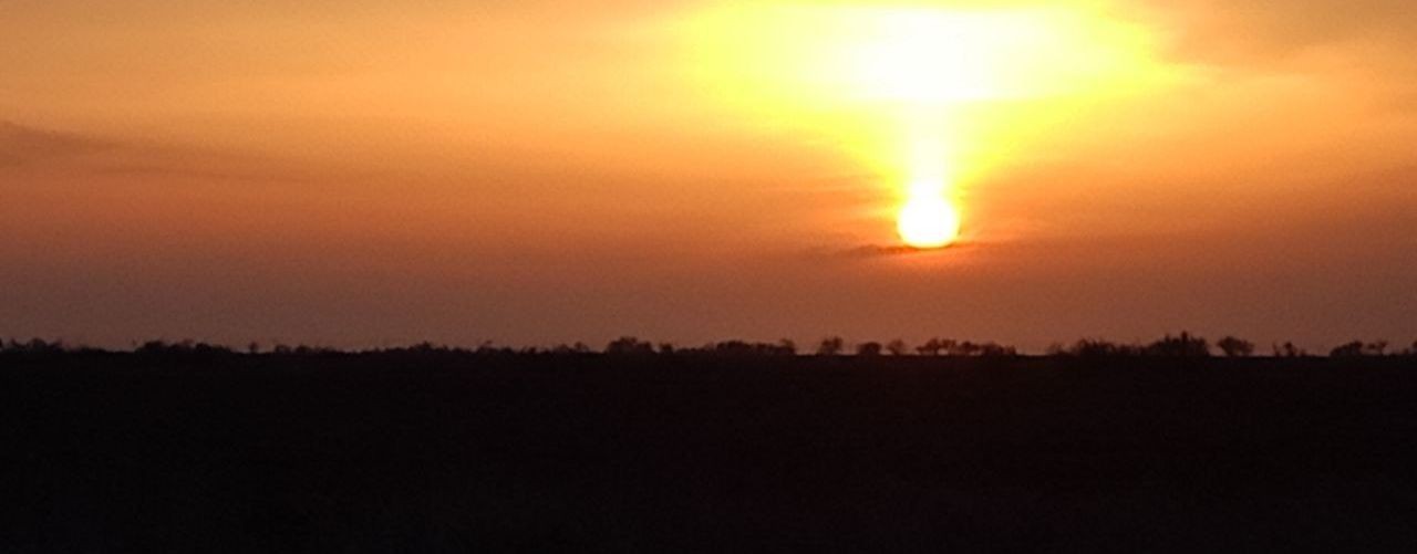 Сергей Пестов