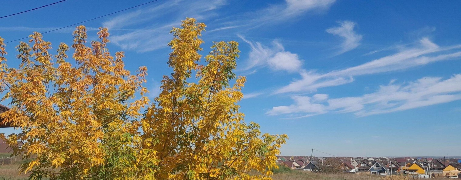 Мой Загородный дом https://youtube.com/@tatjanahou