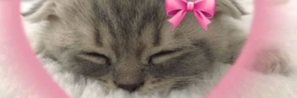 Златик~фан Марьяны