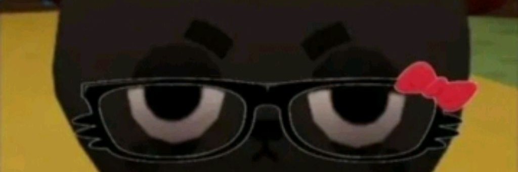 Макарошки ✨