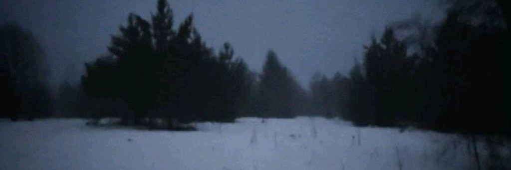 ~Новая Реальность/New Reality~Countryhumans•Z3RO~