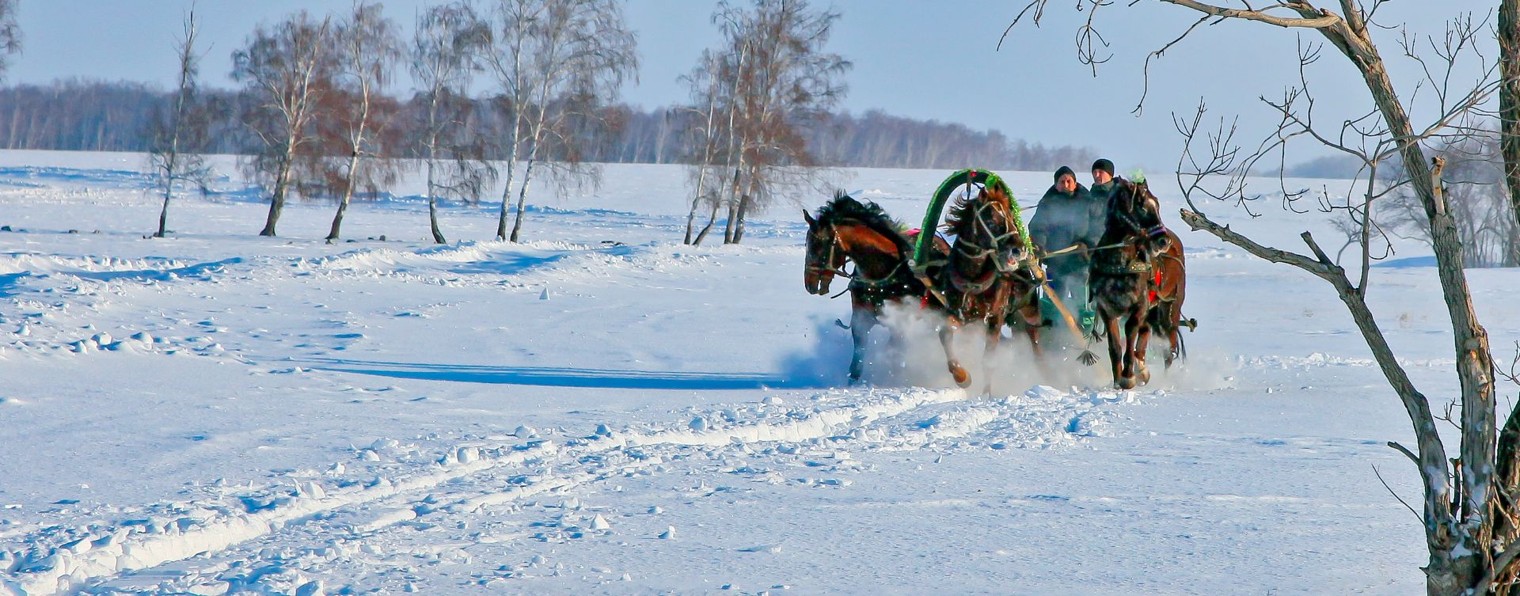 Владимир Кудринский