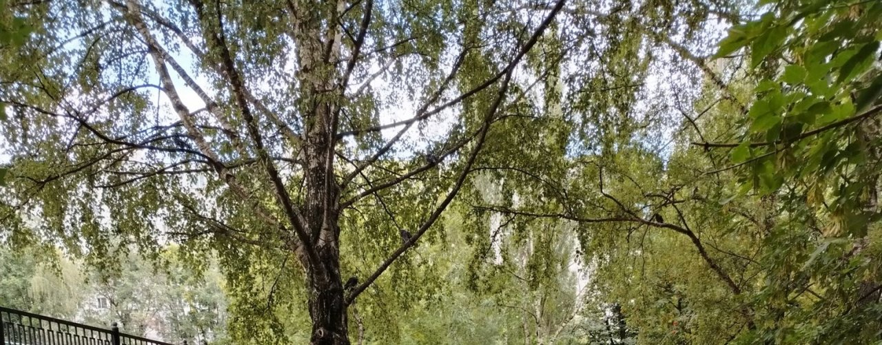 Екатерина Остренко - Магическое обОСТРЕНие