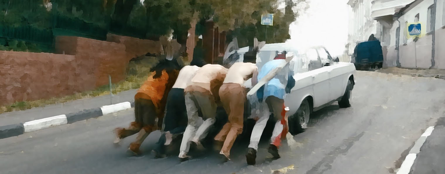 ЛосиКенгуру