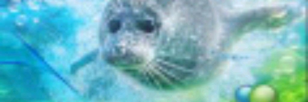 Враг Нуби ﹥:(