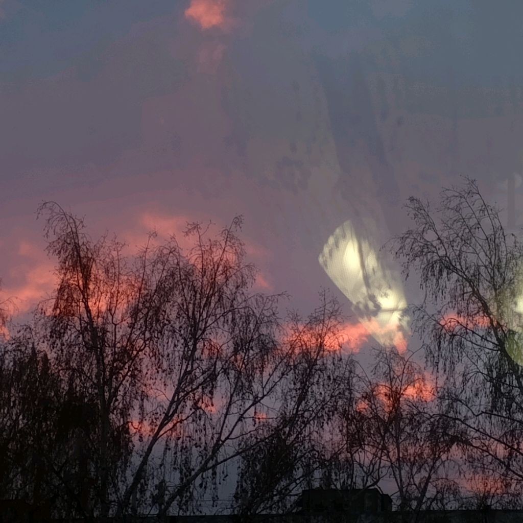 Ёшенька 💜🎄