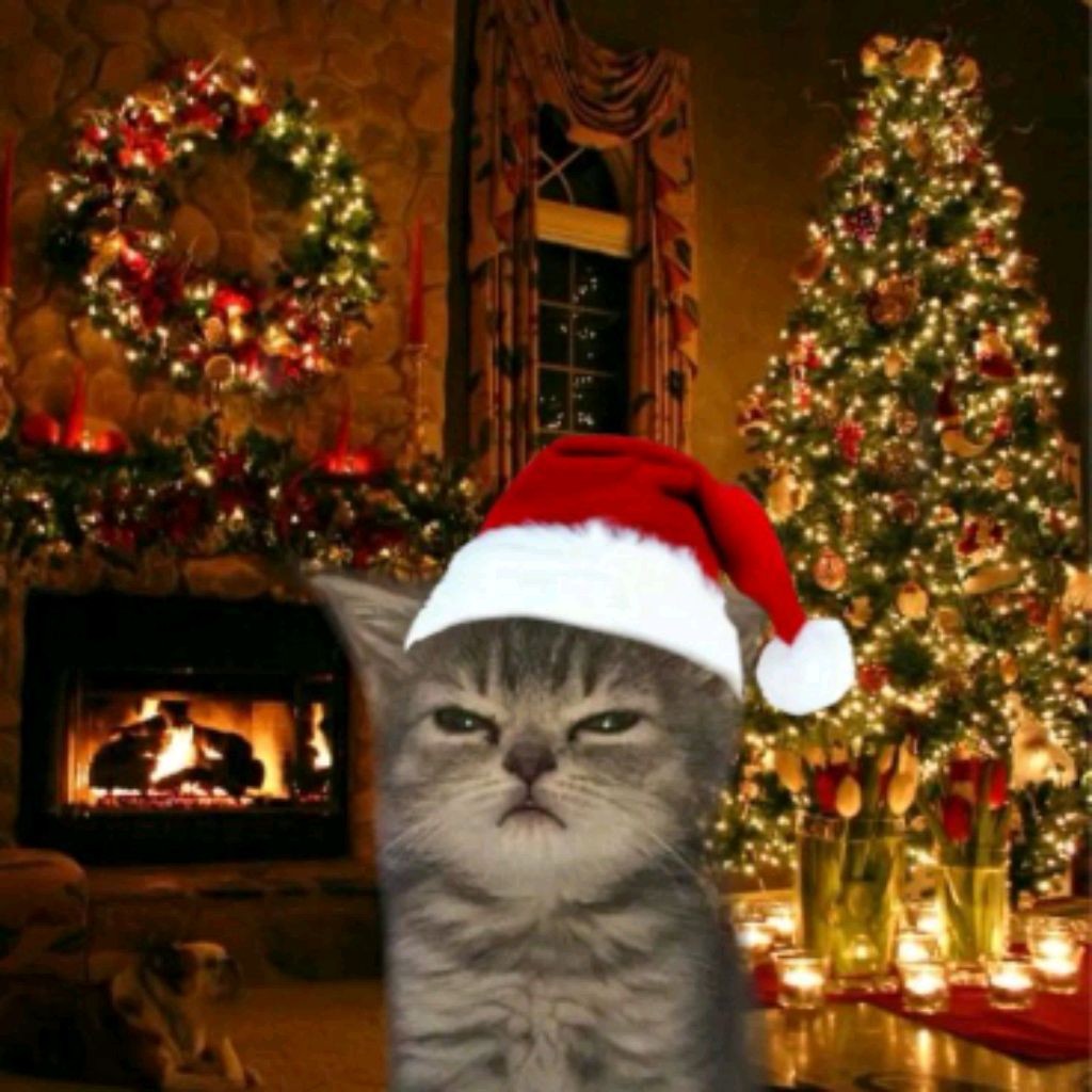 💗Басики🤗