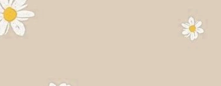 Бумажная Poli