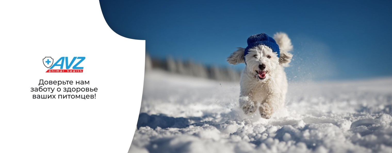 AVZ. Дайджест о здоровье животных