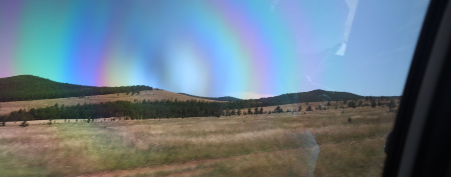 AReviCom Live “Алексей”