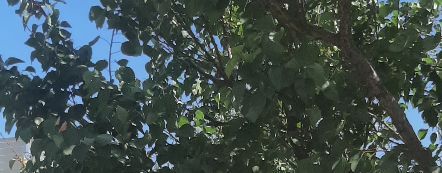 Апрель Мастерская