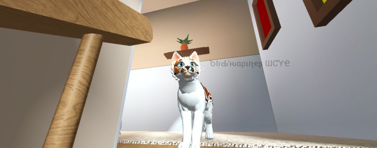 ႦΙɾԂ'ԋαριɳҽʂ ƜƇΥҼ