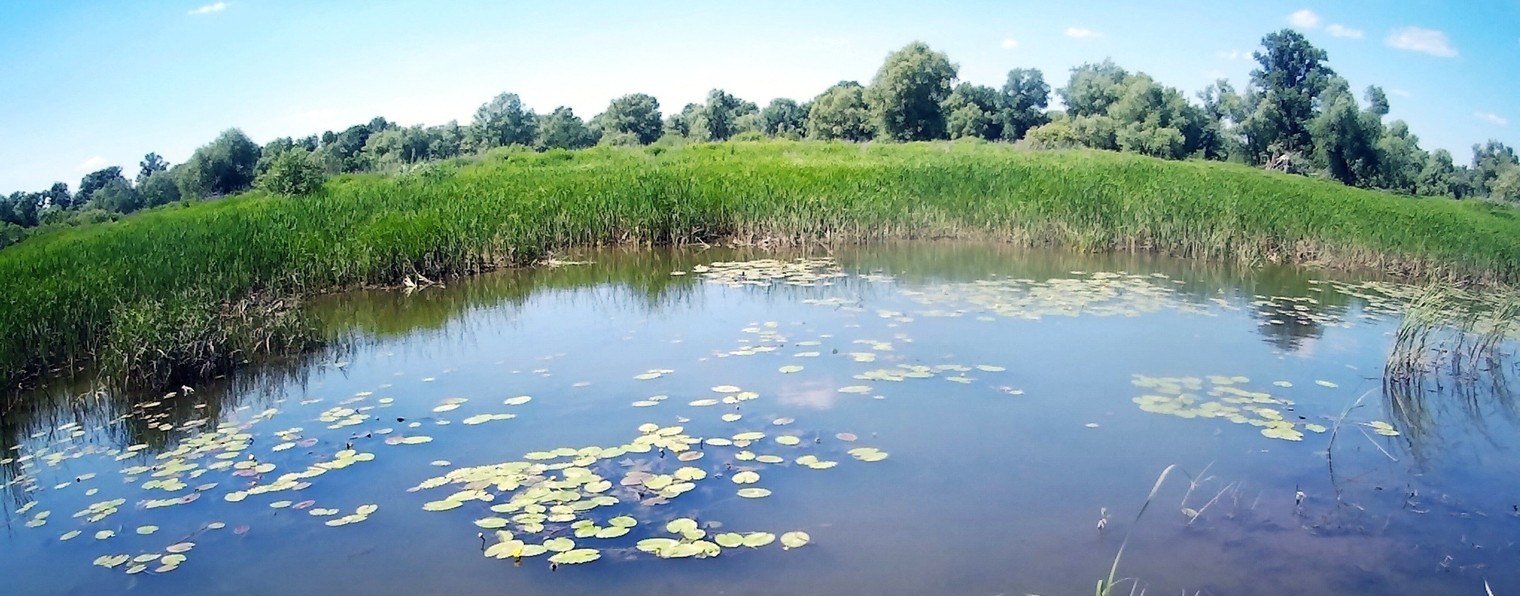 Денис Старосемейкинский