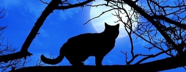 Людмила СПб