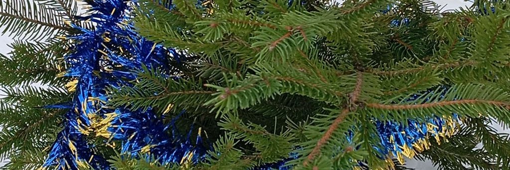 Светлана жизнь в  Силе