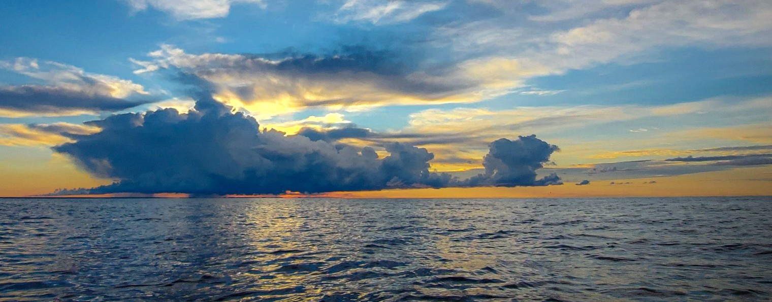 Николай Дергачев. Музыка