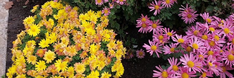 Наталия Висицкая