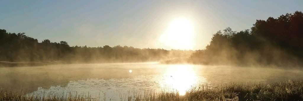 Рыбалка и Отдых на Природе