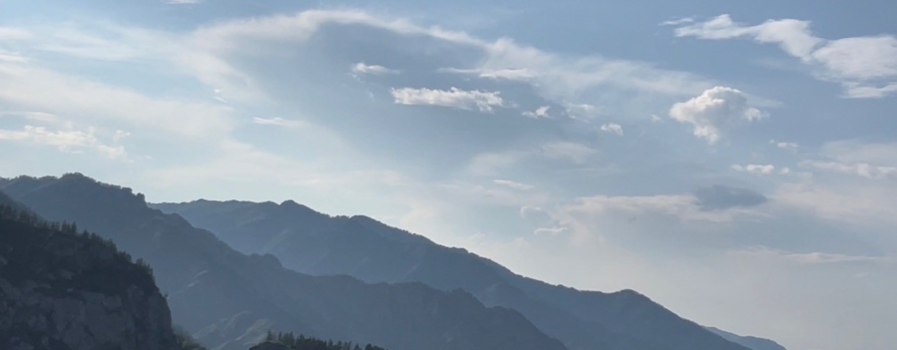 Тихая гавань Дениса Димитриади