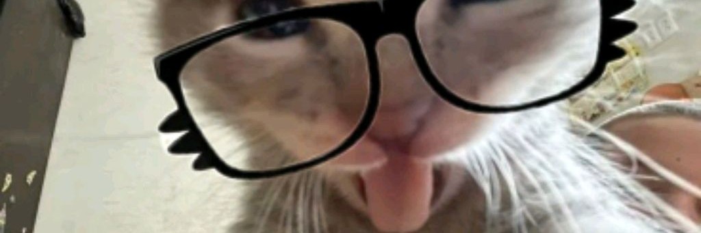 Поля black🖤💤