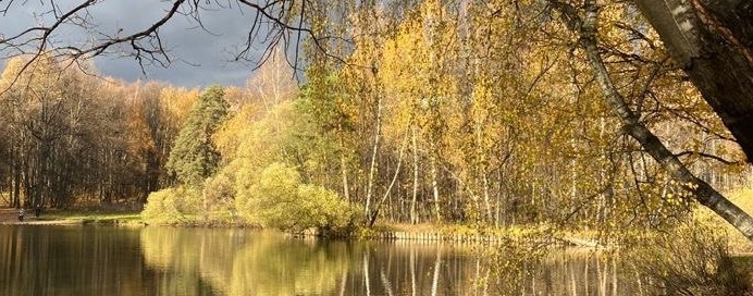 Надежда Трубачева