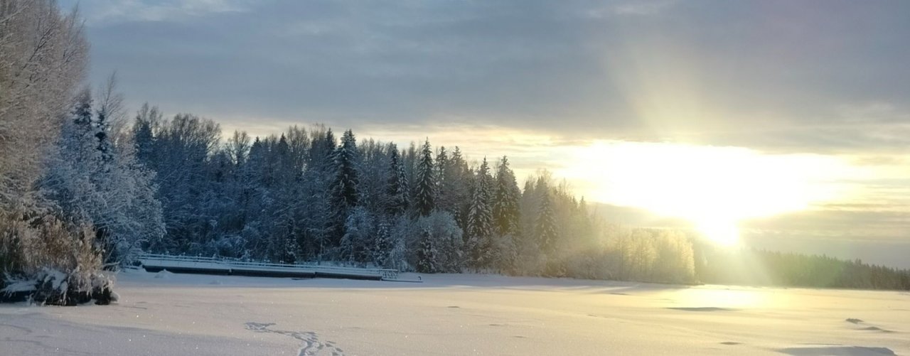 Каталина🥰