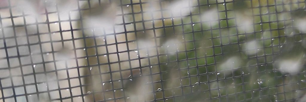 ⛄🌲👻пу́ѳїк👻Понтера🌲Блэк🌲Фугглер 🌲⛄👻