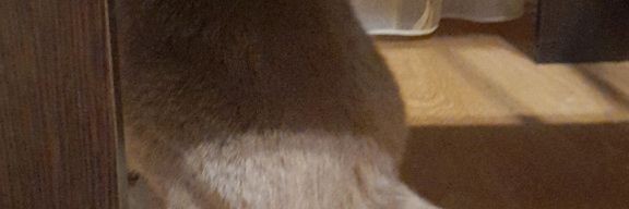 Уля Йоу 🖤💚