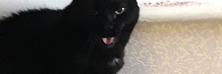 channel407094 Пг 💌﹥~﹤