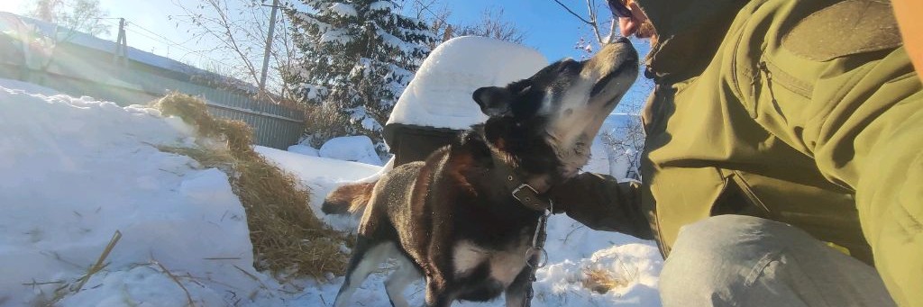 Не напряжное