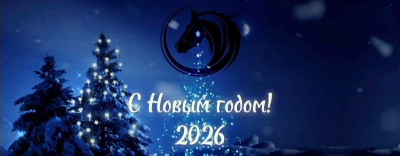 Владимир Live ^._.^ 🎄