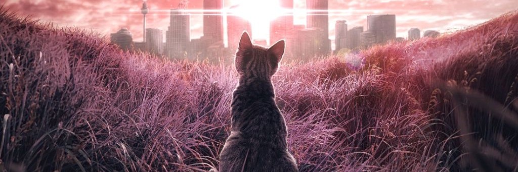 Мисс страшная история