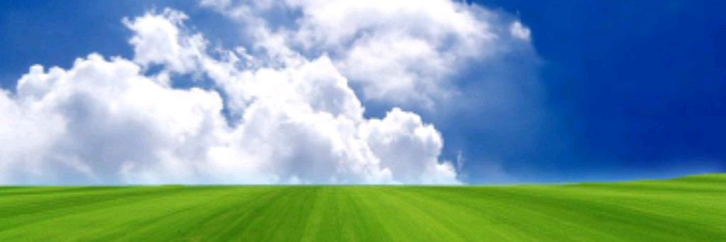 Сумасшедшая!!..(🟢😺=Мусор)(Шуша=Имба)