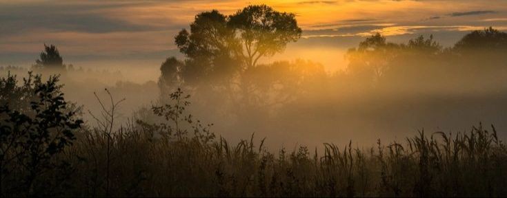 Зеркало души