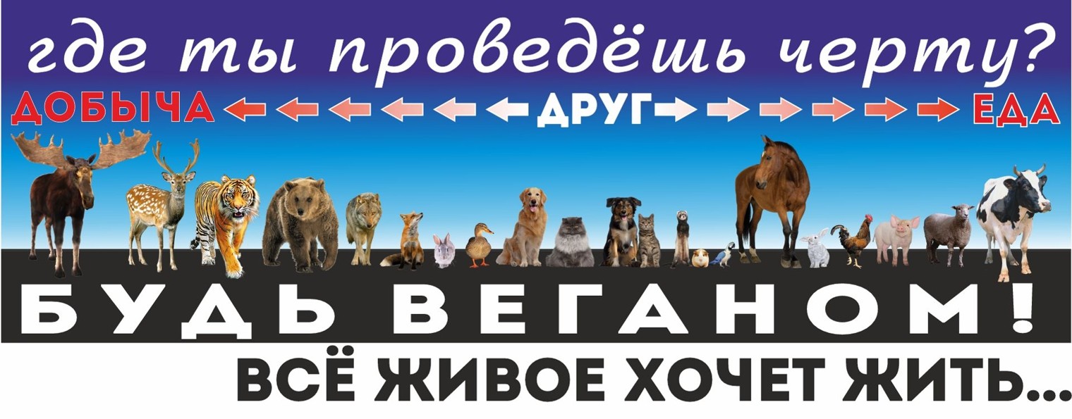 Веганство - норма жизни