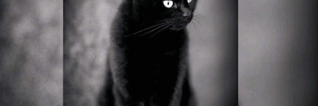 Мэри Сказ та самая