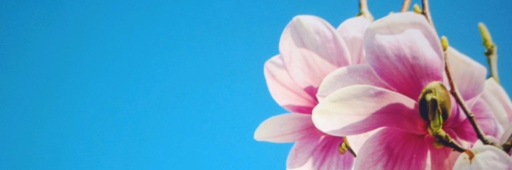 Tётя💞 Mαpтα🌟🎀