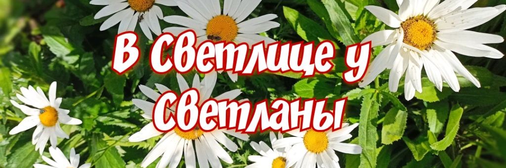 В Светлице у Светланы