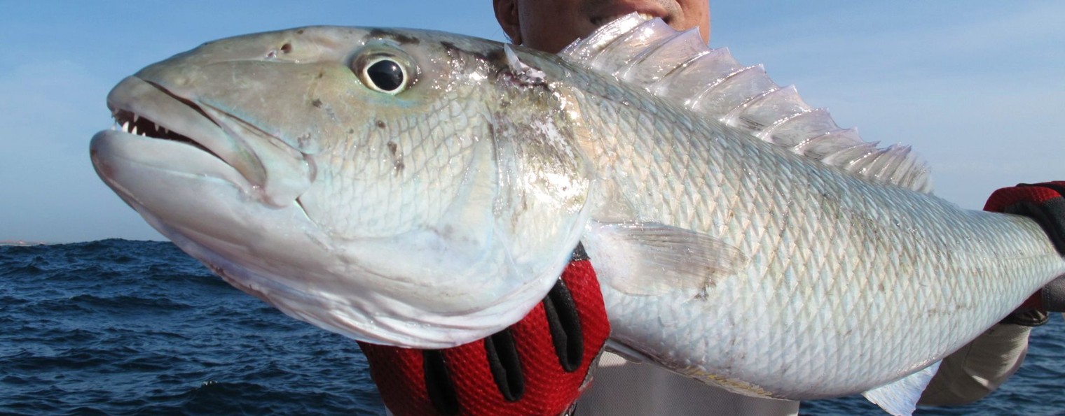 Встречи на водоёмах