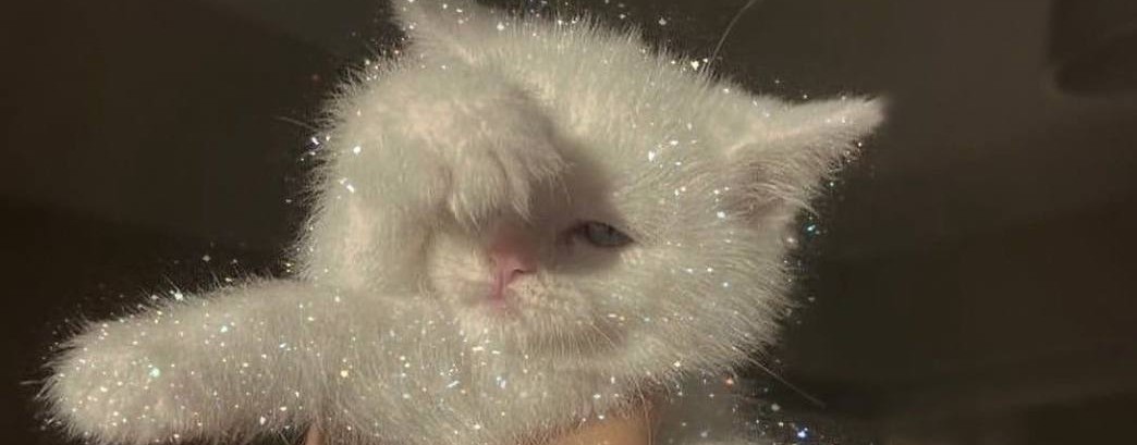 Кристи🍋‍🟩